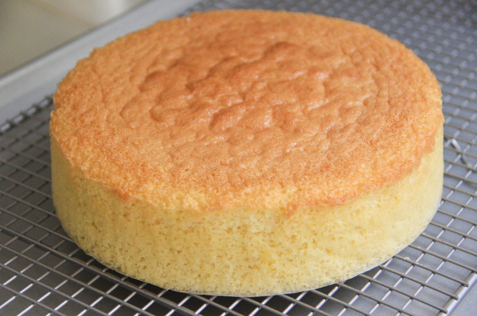 Sponge Cake Recipe Healthy And Keto Recipes